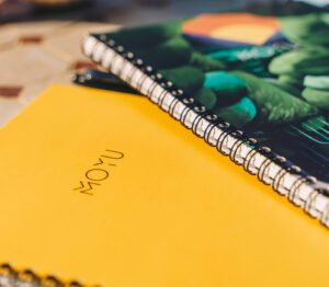 Zelf een moestuin omheining maken - Duurzaamheidskompas