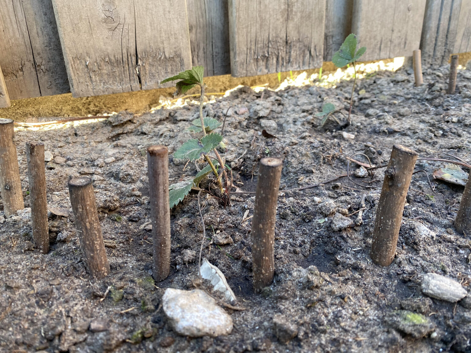 Zelf een moestuin omheining maken - Duurzaamheidskompas