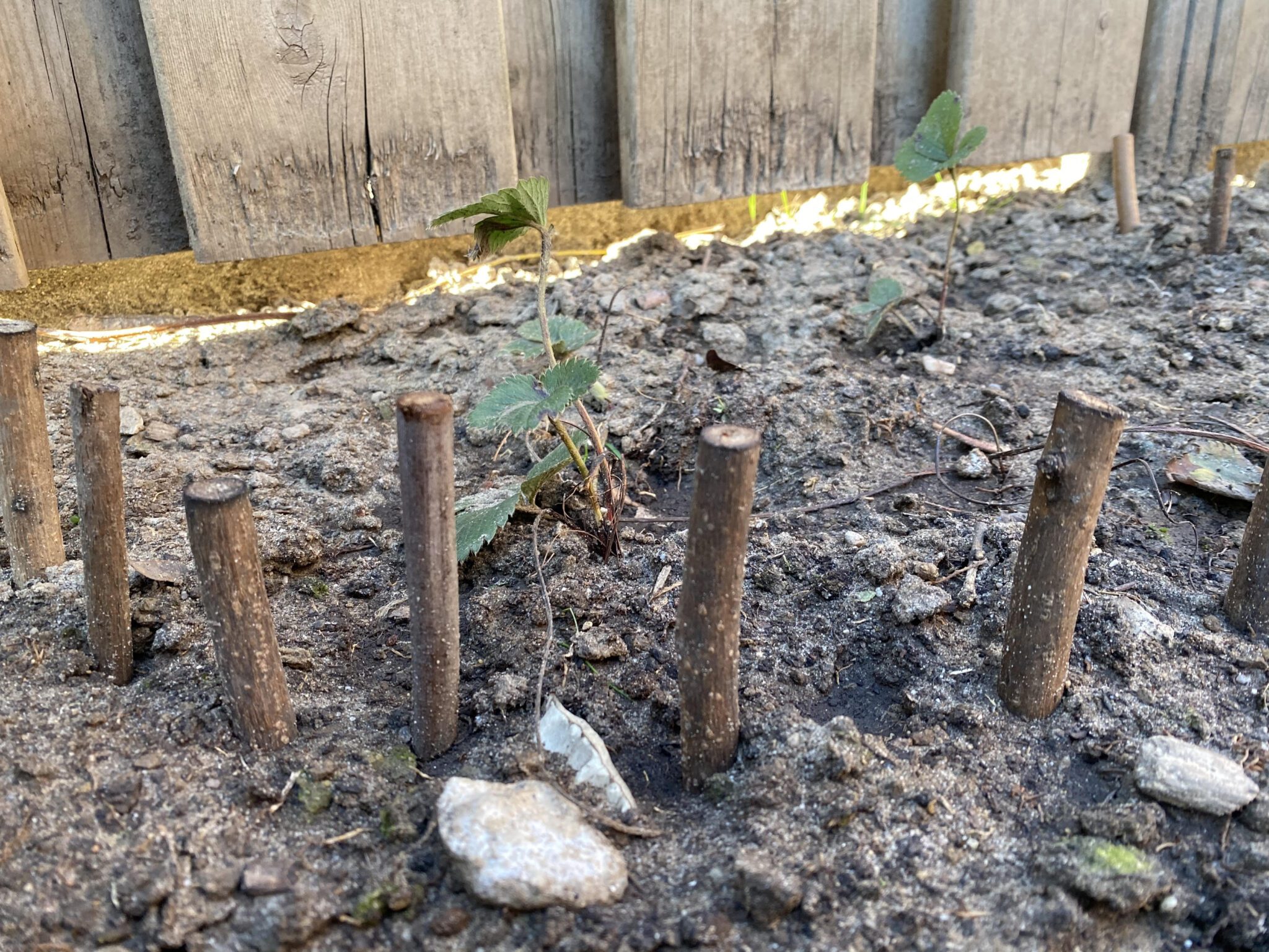 Zelf een moestuin omheining maken - Duurzaamheidskompas